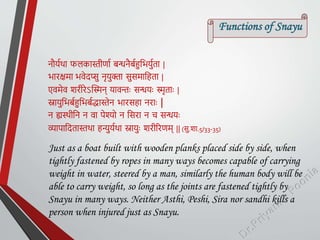 Snayu Sharira.pptx
