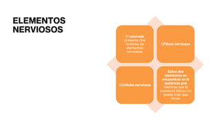 snc 1 parte generalidades............pdf