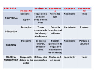 Snc maduracion ugv03 | PPT