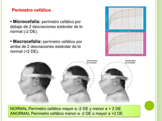 SEMIOLOGIA DEL SISTEMA NERVIOSO EN PEDIATRIA | PPTX