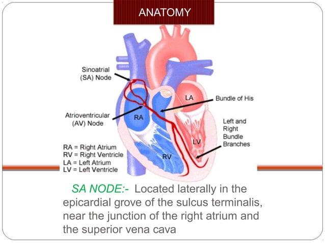 Sinus Node Dysfunction | PPTX