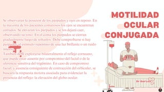 Síndrome comatoso y tipos de coma presentes en el paciente | PDF