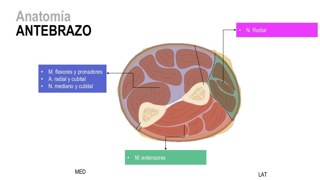 Síndrome compartimental