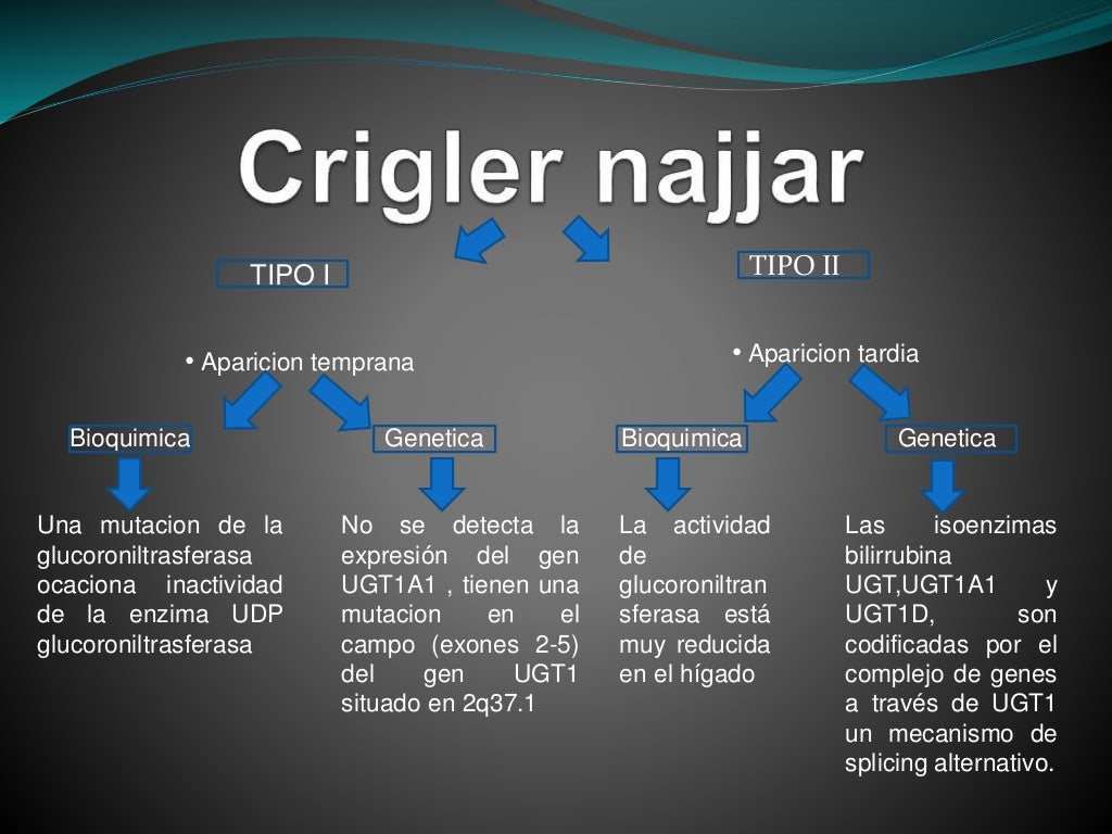 Síndrome de Crigler Najjar
