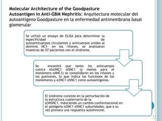 Síndrome de goodpasture jennifer delgadillo | PPTX