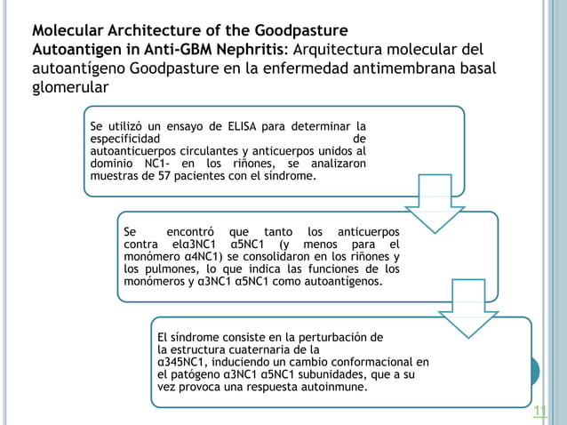 Síndrome de goodpasture jennifer delgadillo | PPTX