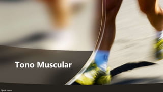 Síndrome de Hipertensión Endocraneana y Tono Muscular | PPTX