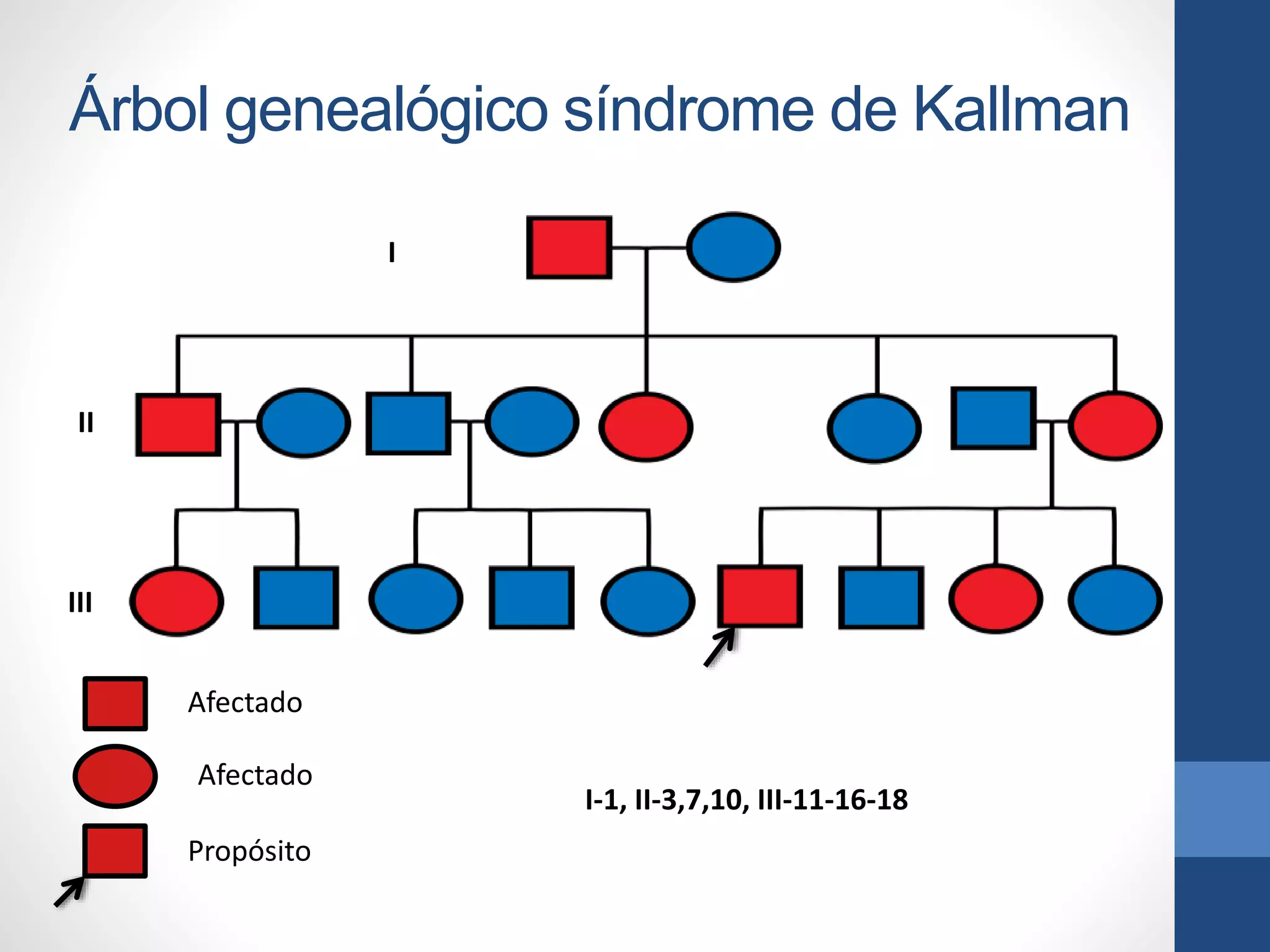 Síndrome de kallman. | PPTX