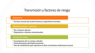 Síndrome de la piel escaldada SALUD.pptx
