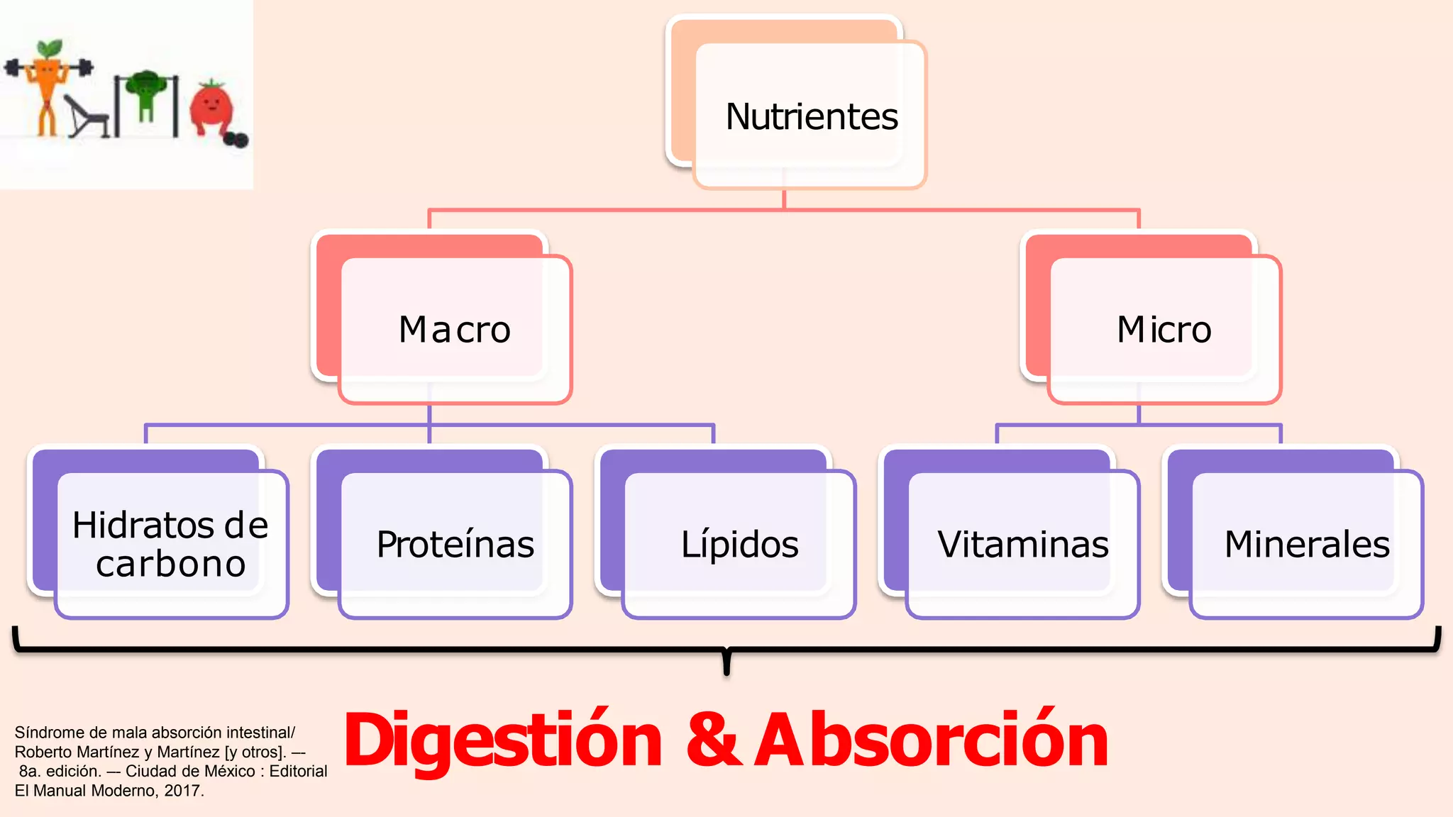 Síndrome de mala absorción intestinal.pptx