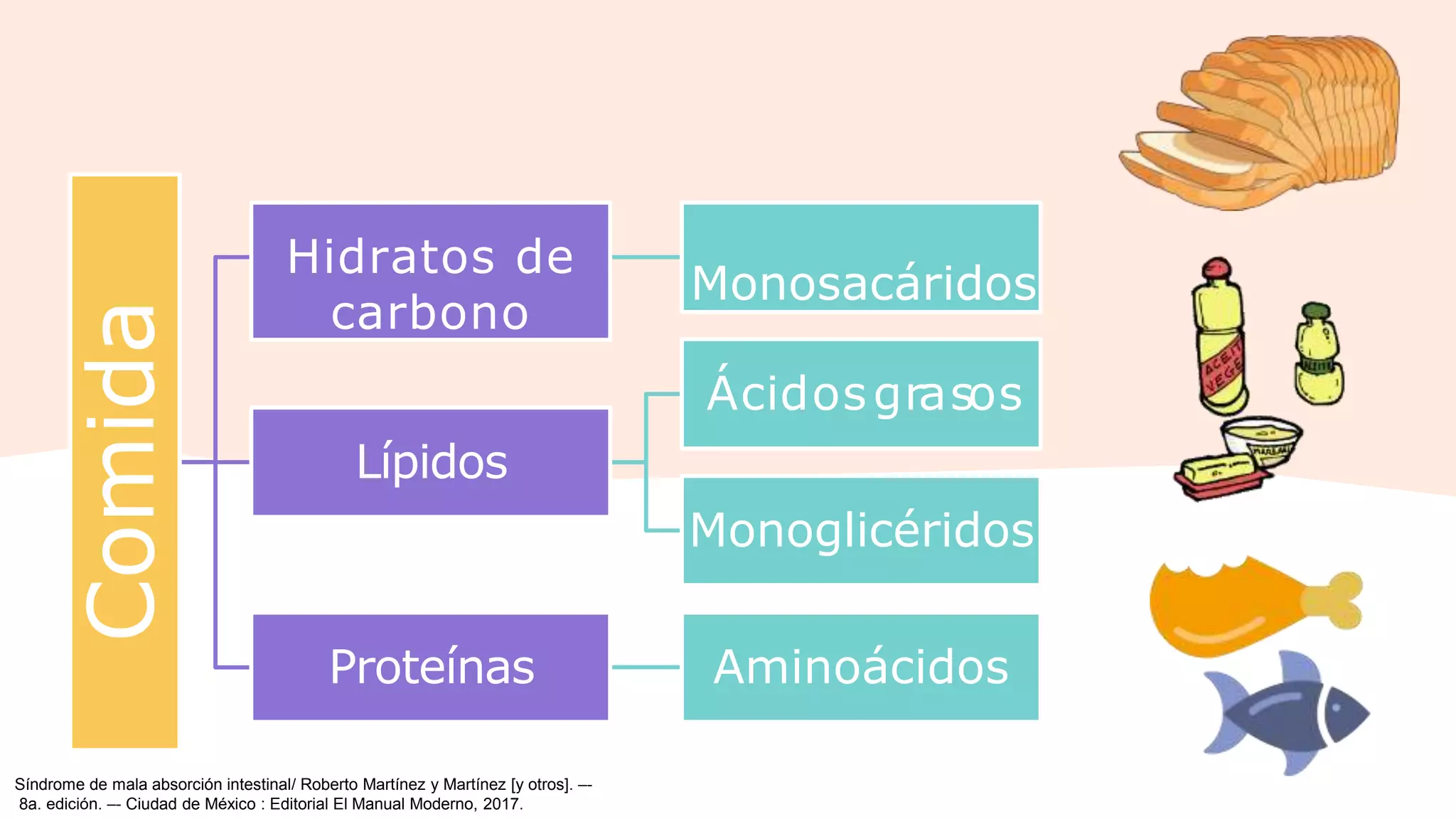 Síndrome de mala absorción intestinal.pptx