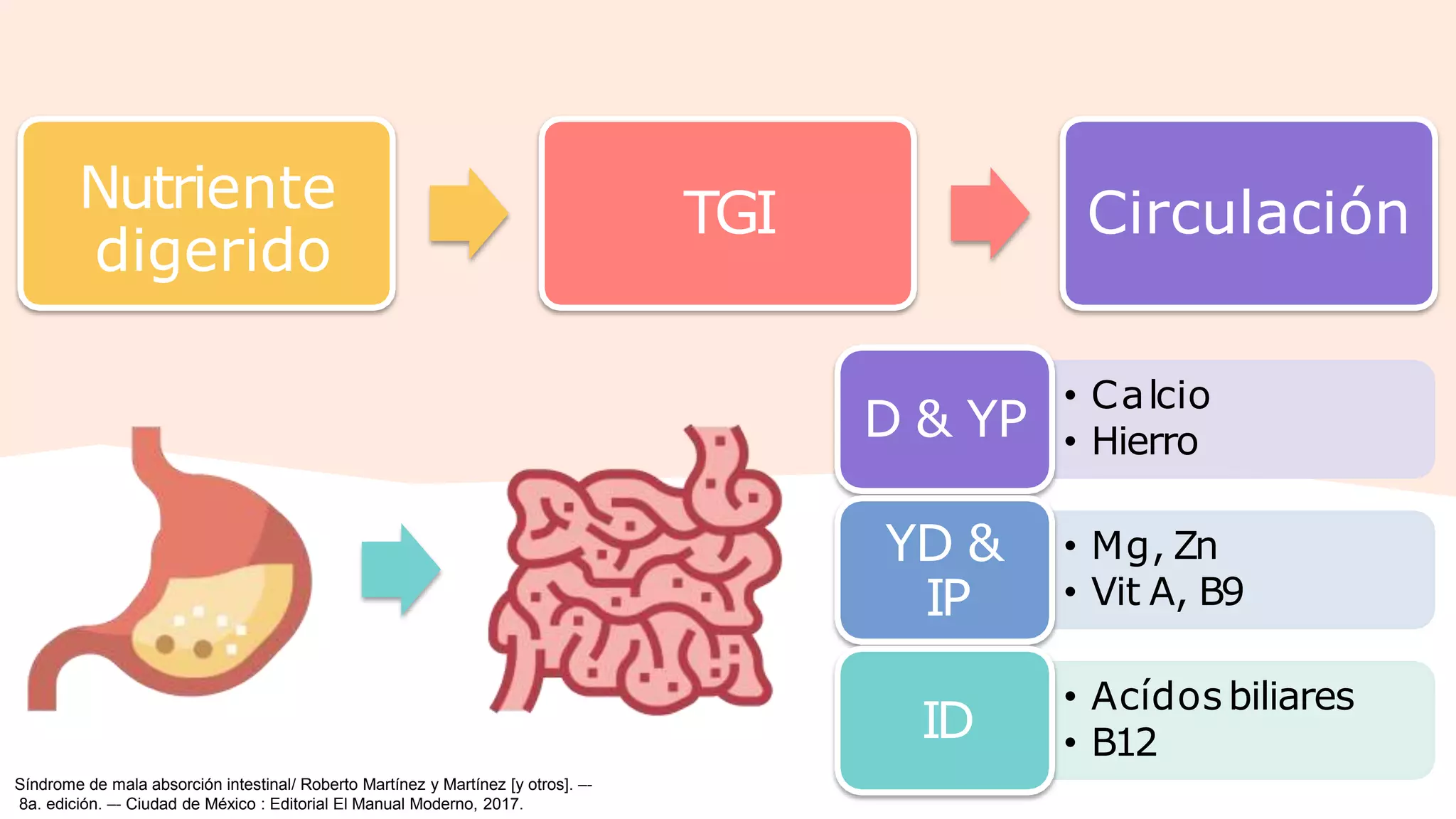 Síndrome de mala absorción intestinal.pptx