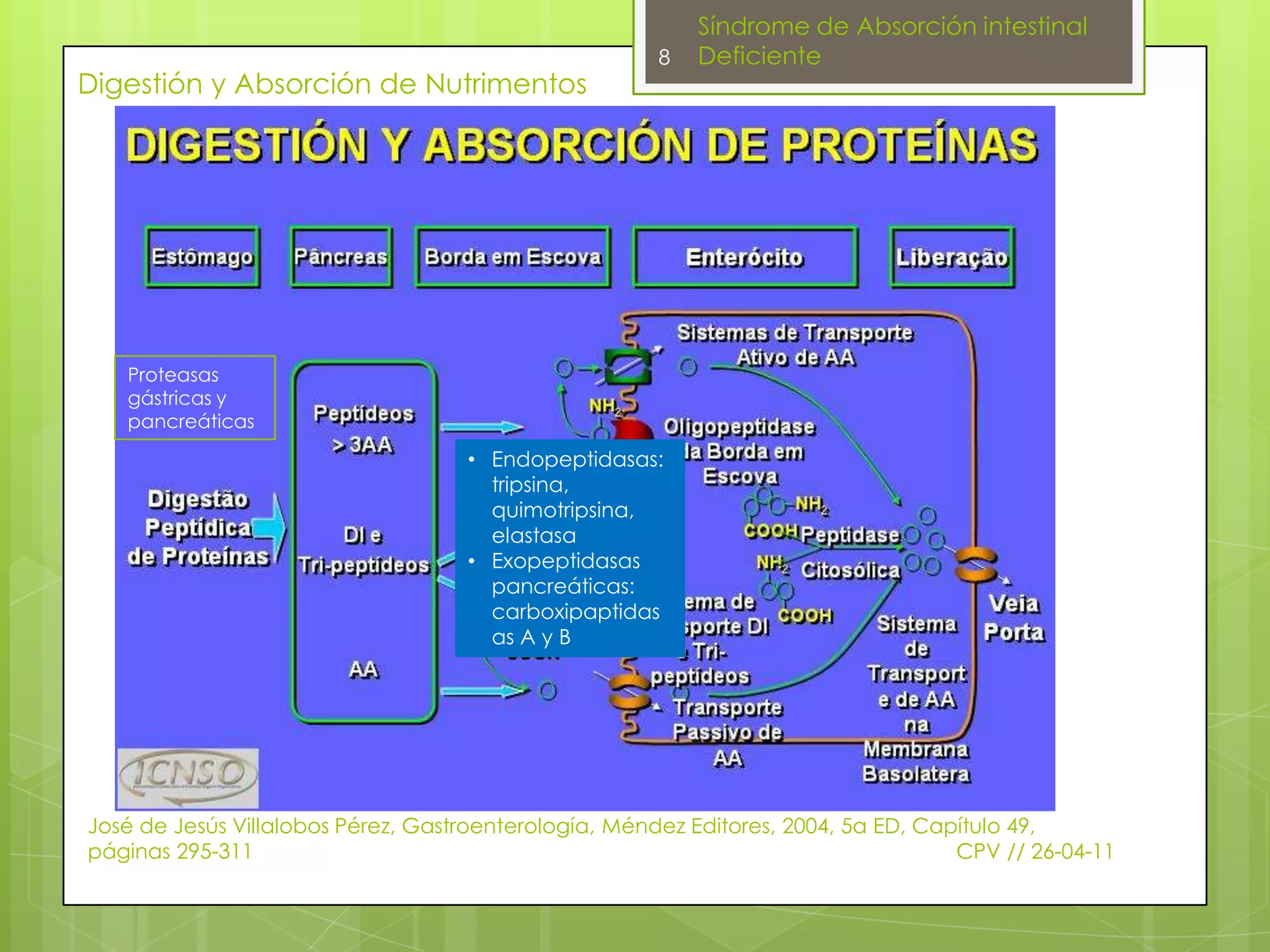 Síndrome de Mala Absorcion | PPTX