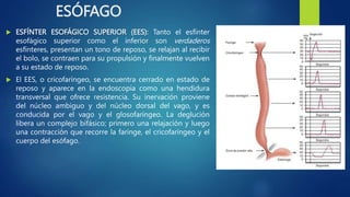 Síndrome esofágico. Concepto. Tratamiento. | PPTX