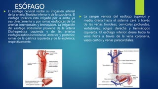 Síndrome esofágico. Concepto. Tratamiento. | PPTX