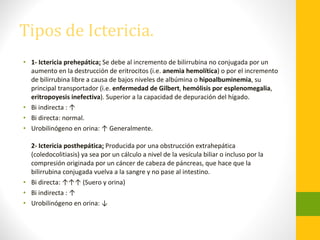 Síndrome Ictérico | PPT