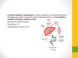 Síndrome Ictérico | PPT