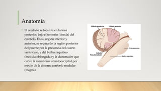 Neurología de los Síndromes cerebelosos.pptx