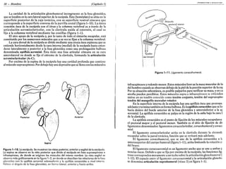 Síndromes dolorosos, Hombro (Rene Cailliet ).pdf