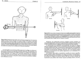 Síndromes dolorosos, Hombro (Rene Cailliet ).pdf