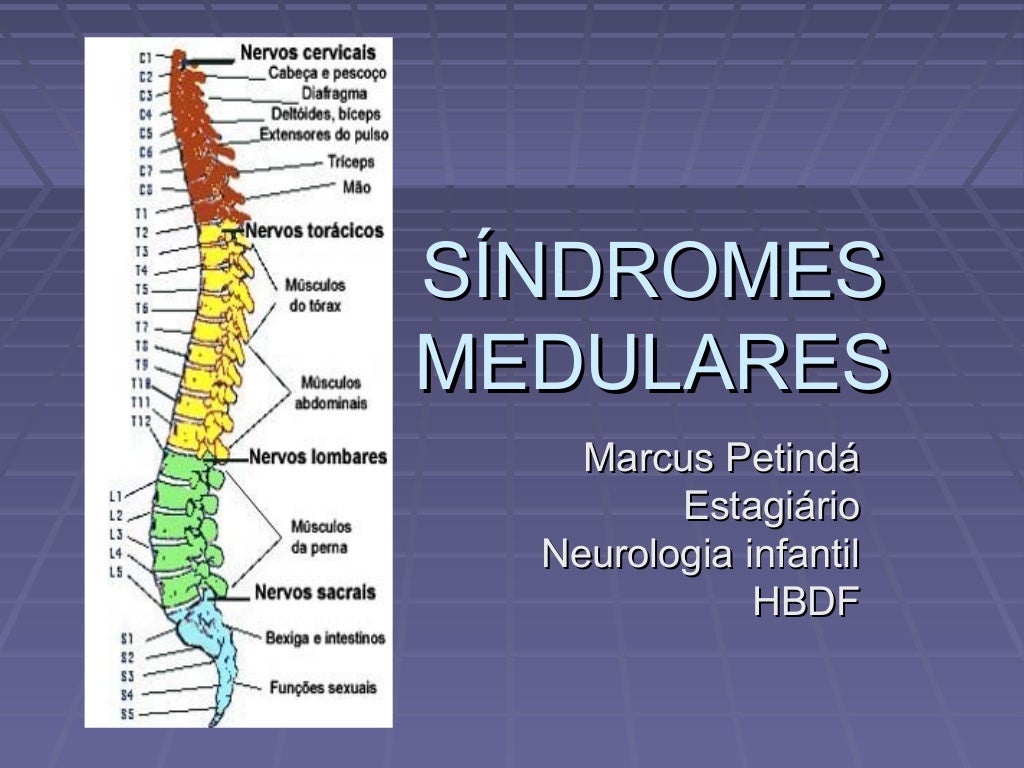 Sindrome Do Cone Medular - BRAINCP