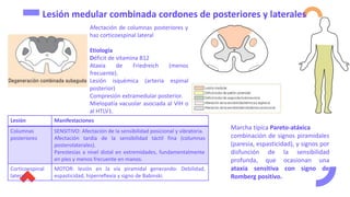 Síndromes Medulares .pdf