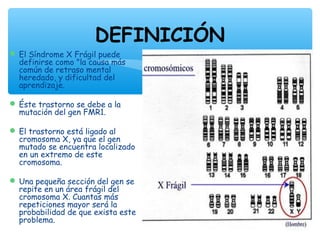 Sndrome x fragil | PPT