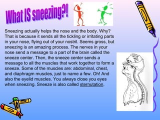 Sneeze | PPT