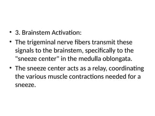 Sneezing-reflex in human nose and their characters | PPTX