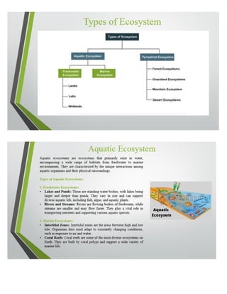 SNEHA EST.docx micro project selection plz re | PDF