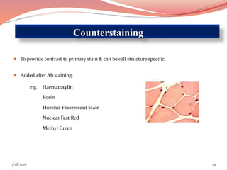 immunohistochemistry | PPTX