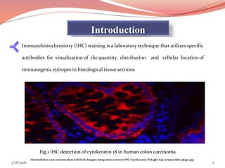 immunohistochemistry | PPTX | Chemistry | Science