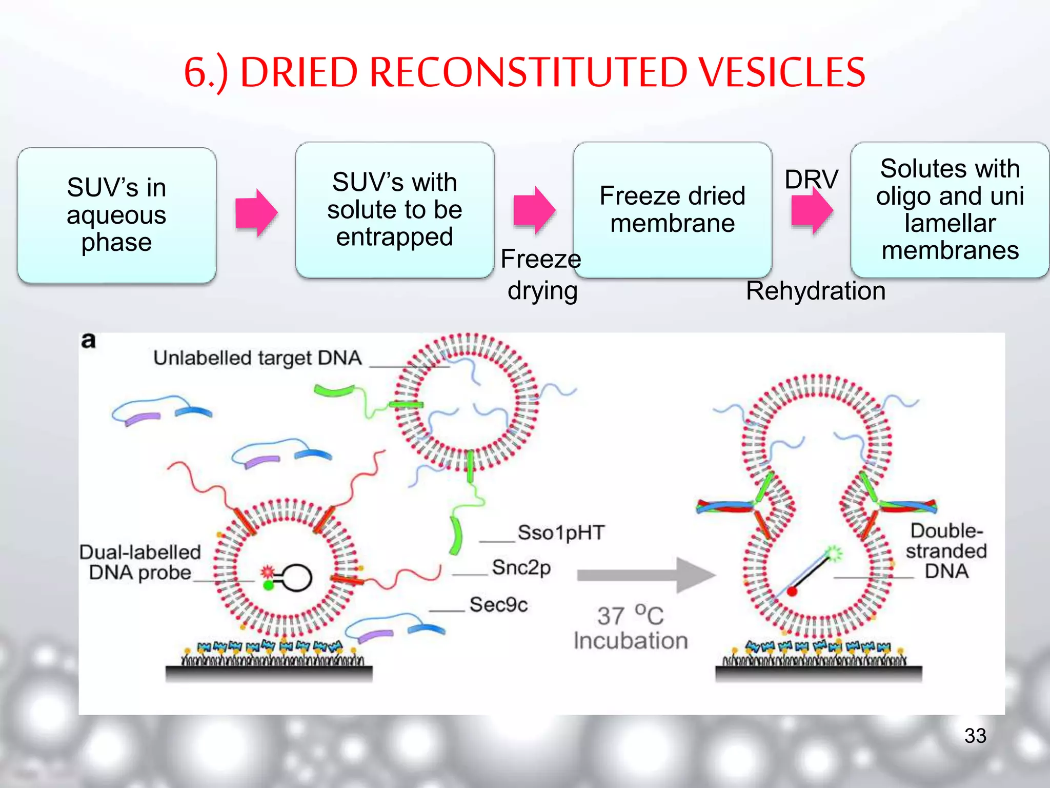 Liposomes- A Novel Drug Delivery System | PPTX