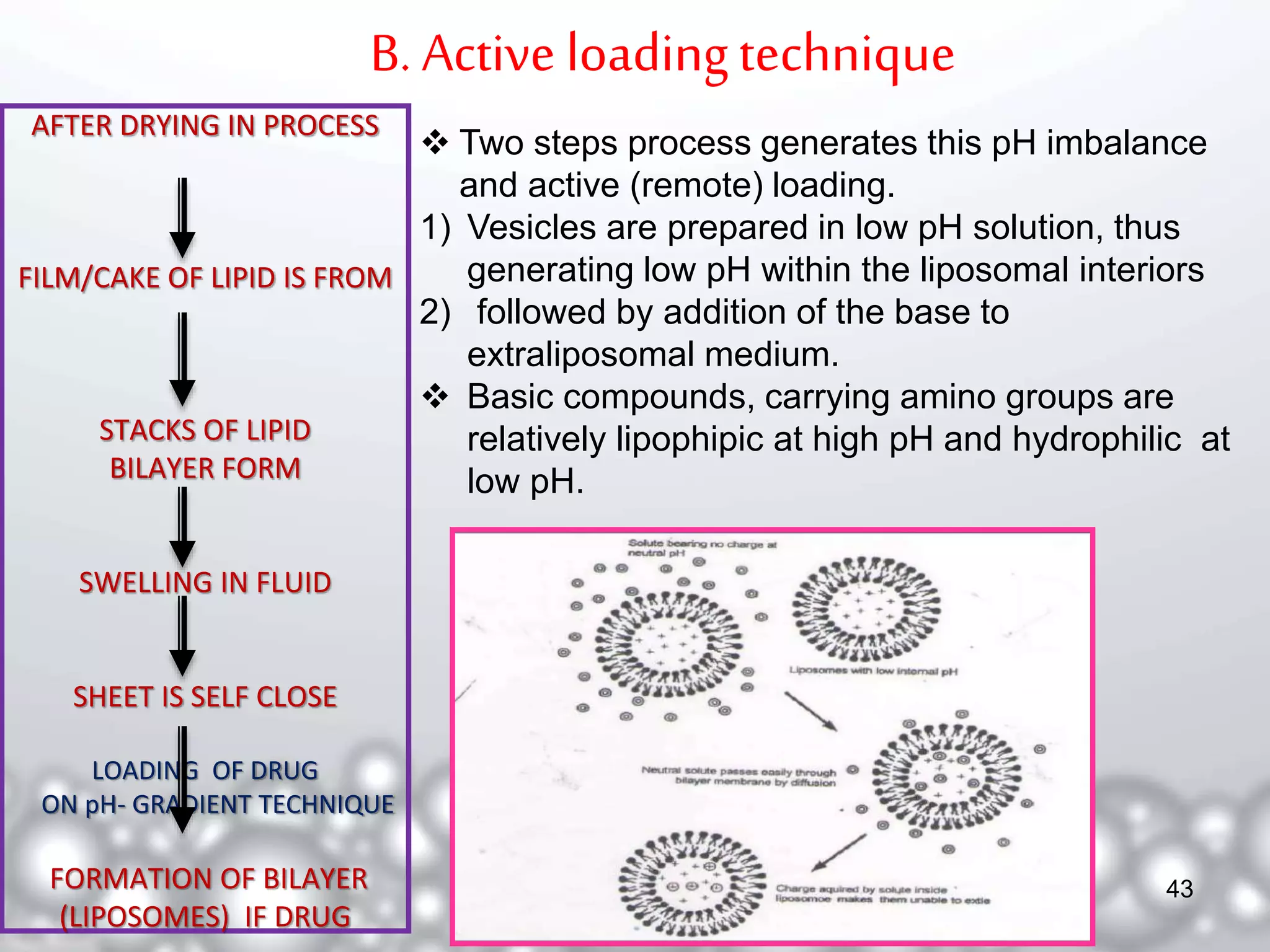 Liposomes- A Novel Drug Delivery System | PPTX