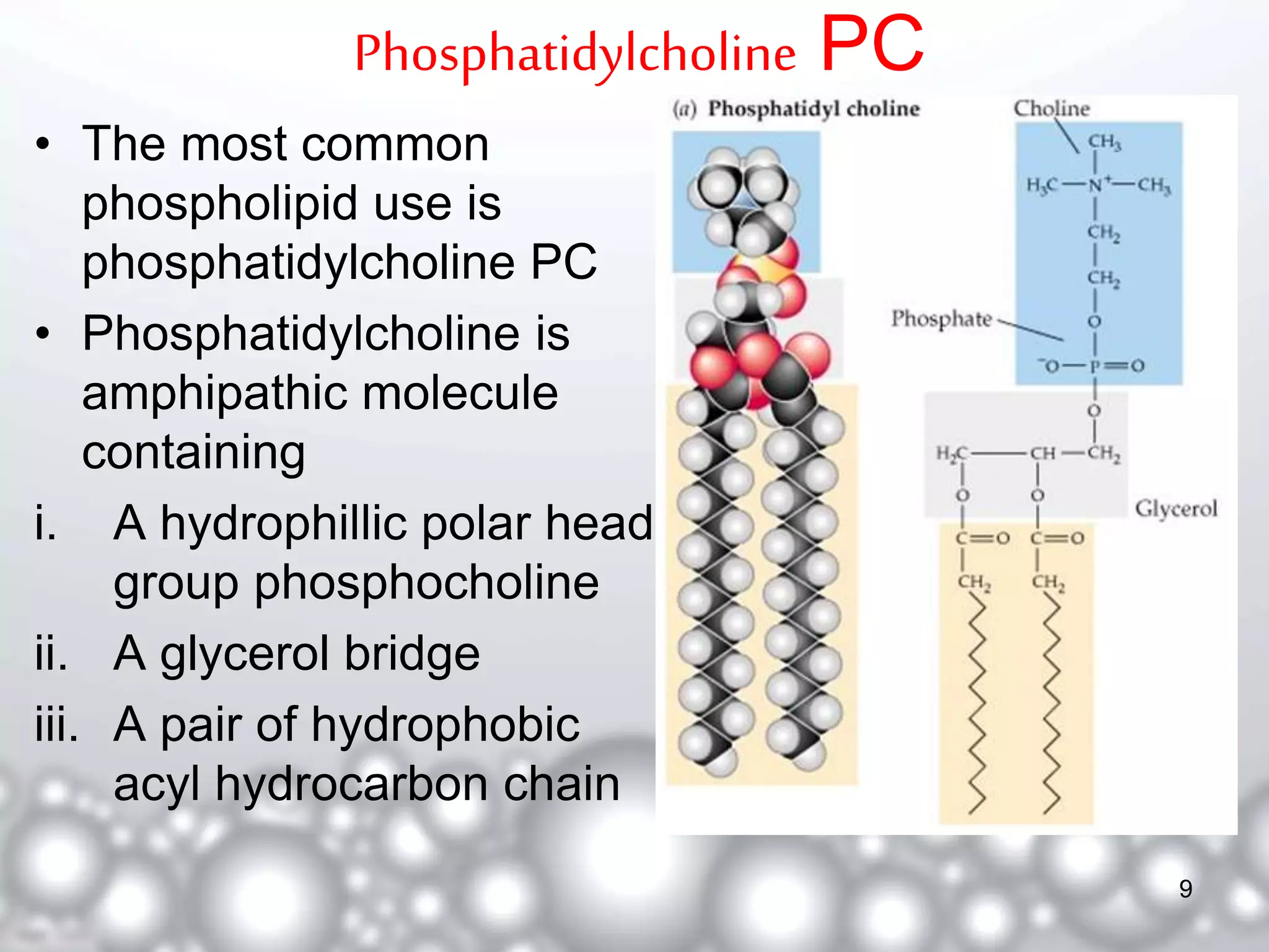 Liposomes- A Novel Drug Delivery System | PPTX