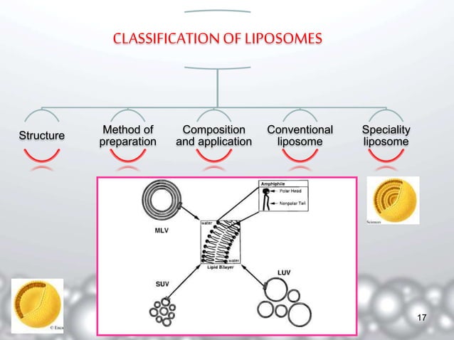 Liposomes- A Novel Drug Delivery System | PPTX