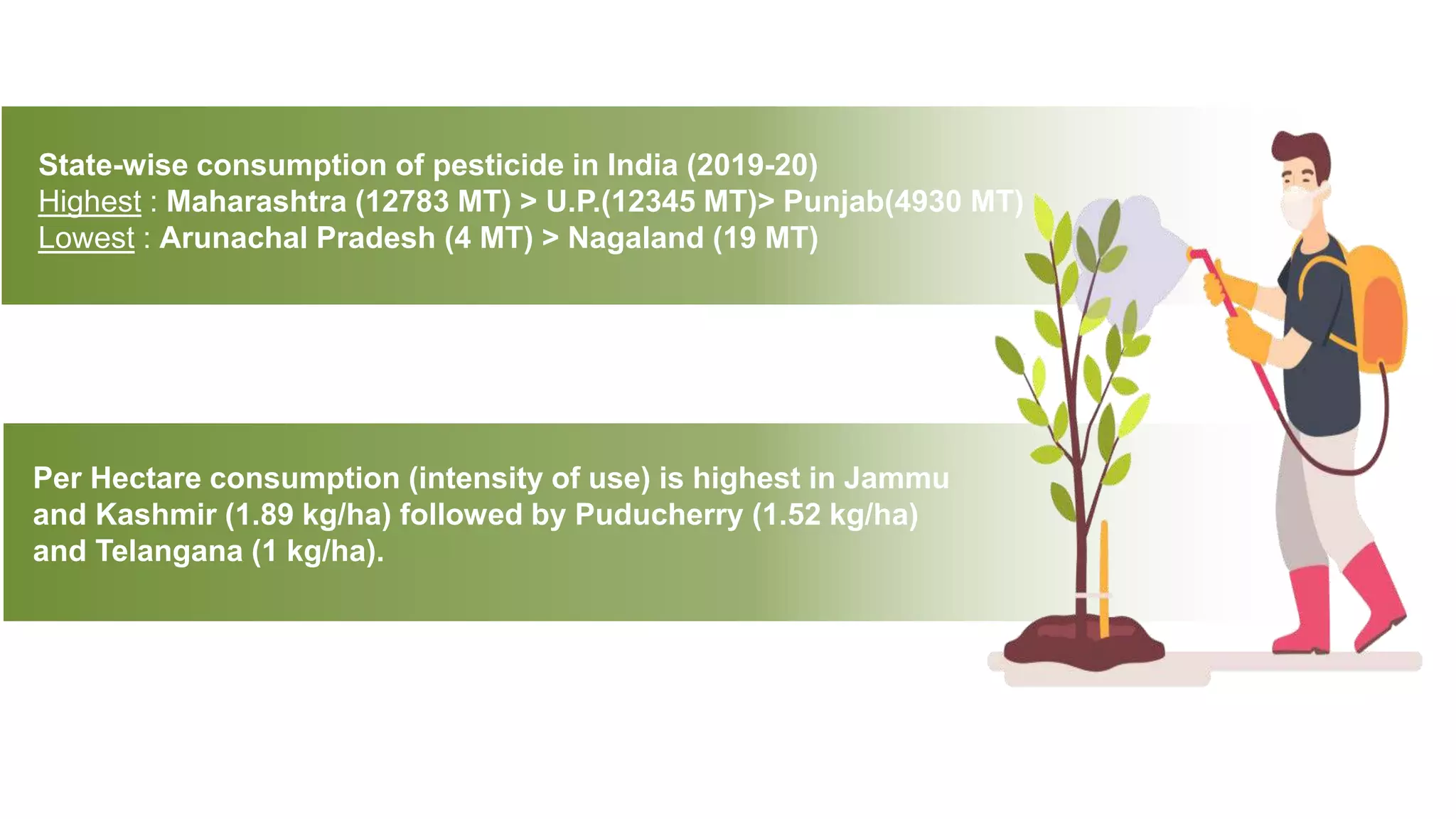 Pesticides use in Indian Agriculture : Consumption and Trade | PPTX