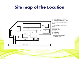 Snehal plant design ppt on cgmp | PPTX
