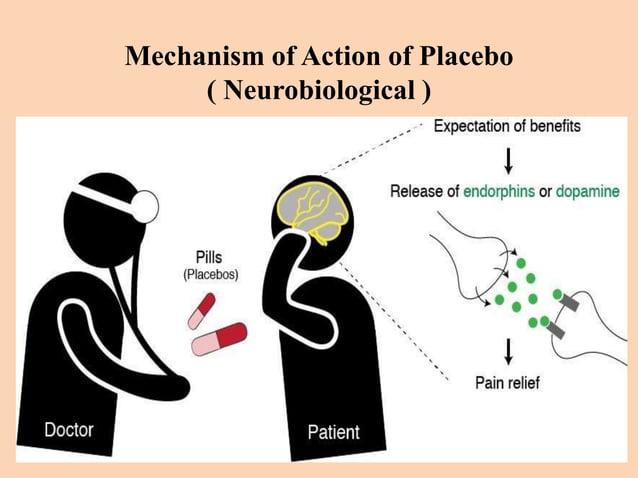 Sneha modak ppt | PPT
