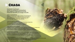 Supernova Brainbooster Presentation English | PDF