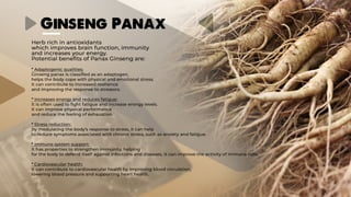 Supernova Brainbooster Presentation English | PDF