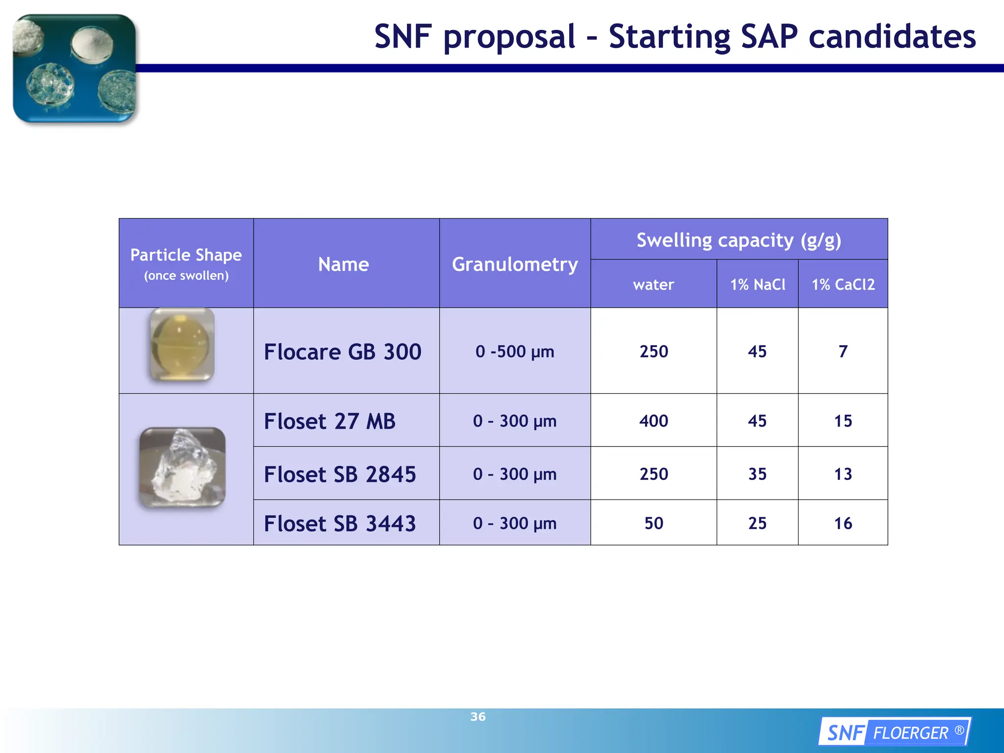 SNF Polymers in Building Applications - 2016 .ppt