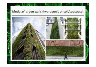 Designing with Nature: Green Walls | PDF