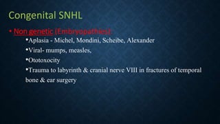 SNHL compiled by BIJAY BHATTARAI | PPTX