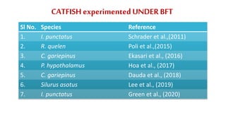 Biofloc research | PPT