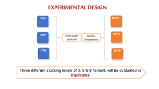 Biofloc research | PPT