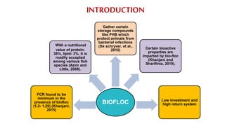 Biofloc research | PPT