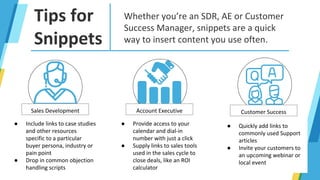 Using SalesLoft Snippets | PDF
