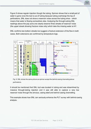 Snl 5 white paper | PDF