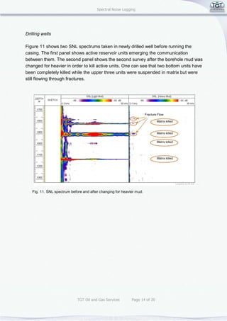 Snl 5 white paper | PDF